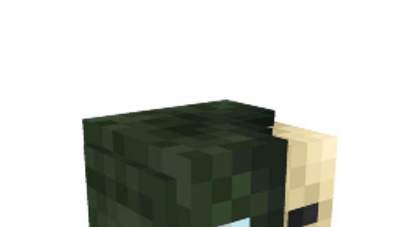 Blind Zombie Head by Blu Shutter Bug - Minecraft Marketplace (via ...