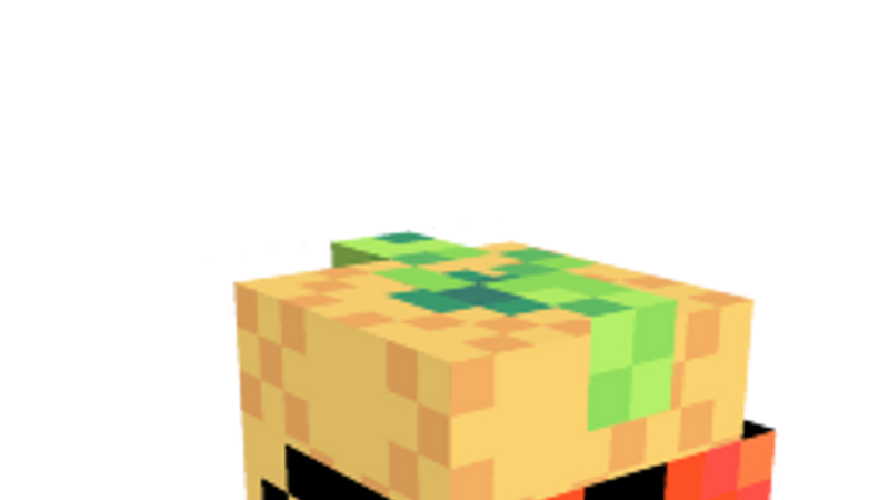 Pineapple Head by Rogue Assemblies - Minecraft Bedrock Marketplace Explorer