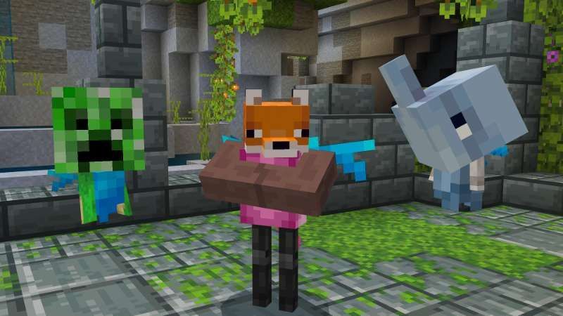 Cartoon Face by Maca Designs - Minecraft Bedrock Marketplace Explorer