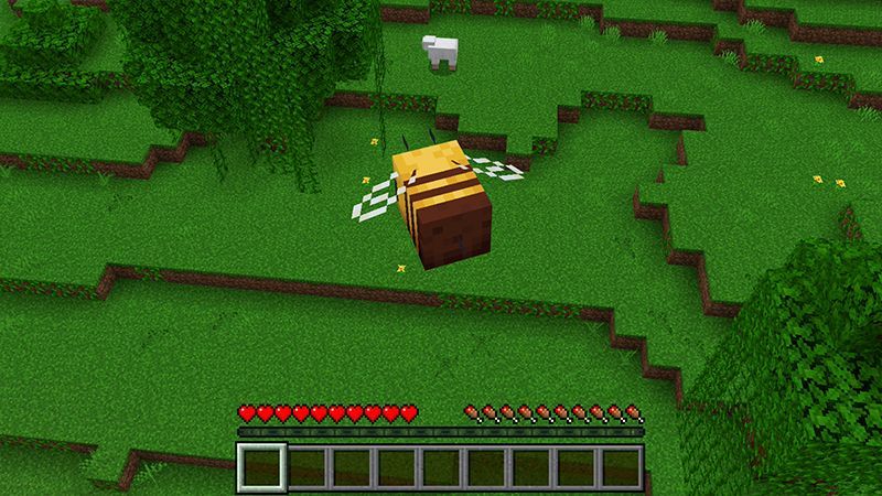 Texture Packs by Pickaxe Studios - Minecraft Bedrock Marketplace Explorer