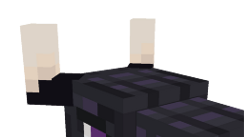 Shadow Dragon by Kora Studios - Minecraft Marketplace (via ...