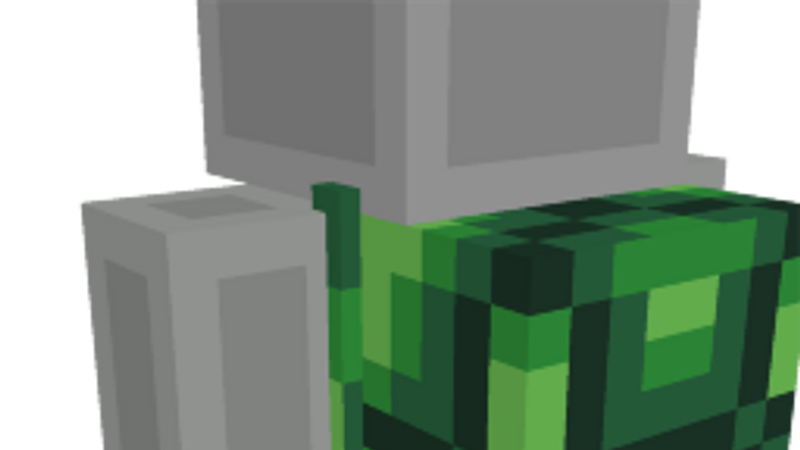 Turtle Shell by BLOCKLAB Studios - Minecraft Marketplace (via ...