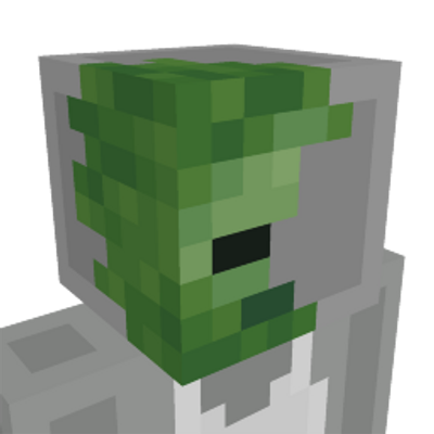 Half Zombie Face by Venift - Minecraft Marketplace (via bedrockexplorer ...