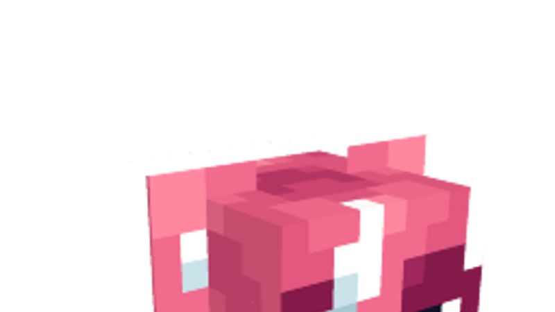 Cuddle Bear Head by RareLoot - Minecraft Bedrock Marketplace Explorer