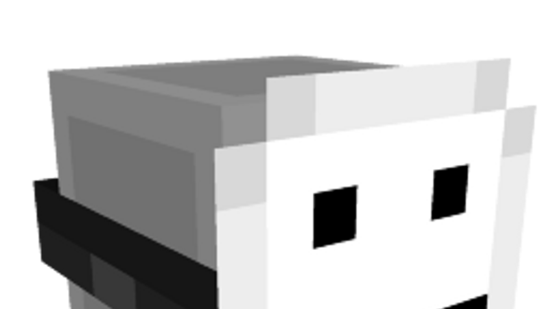 Simple Face by Mazario Studios - Minecraft Bedrock Marketplace Explorer
