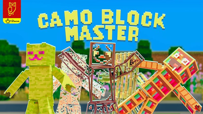 Camo Block Master by DeliSoft Studios (Minecraft Skin Pack) - Minecraft ...