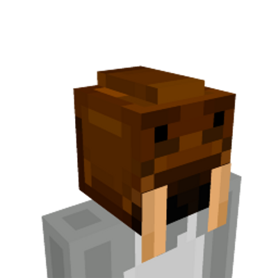 Walrus Head by Azerus Team - Minecraft Marketplace (via bedrockexplorer ...