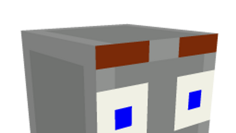 Shocked Brows by Minecraft - Minecraft Marketplace (via bedrockexplorer ...