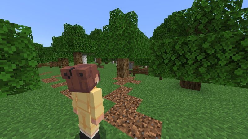 Diamond Carrot by Diamond Studios - Minecraft Bedrock Marketplace Explorer