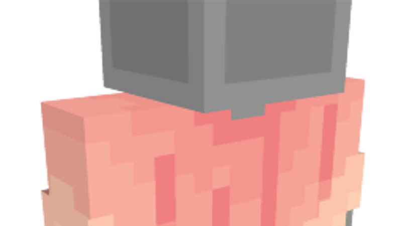 Pink Poncho by Tsunami Studios - Minecraft Marketplace (via ...