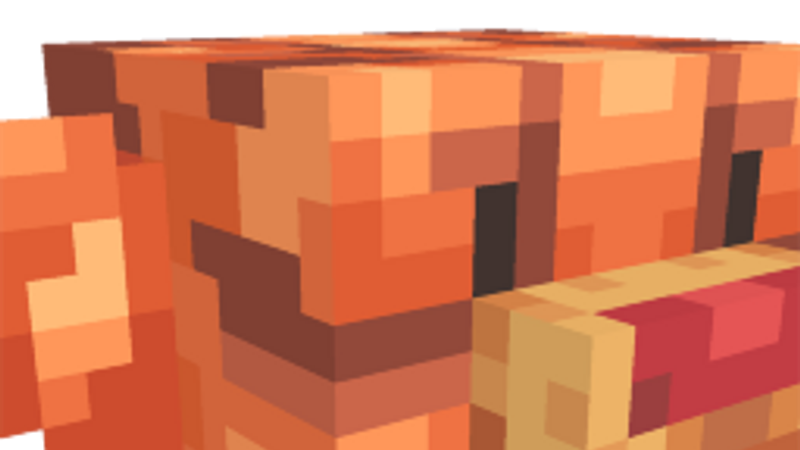 Tiger Head by Norvale - Minecraft Marketplace (via bedrockexplorer.com)