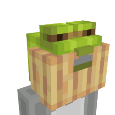 Frog head by Diveblocks - Minecraft Marketplace (via bedrockexplorer.com)