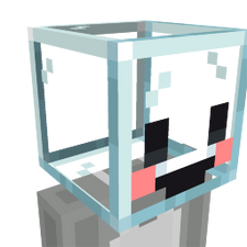 Glass Block Head by Pixel Paradise - Minecraft Marketplace (via ...