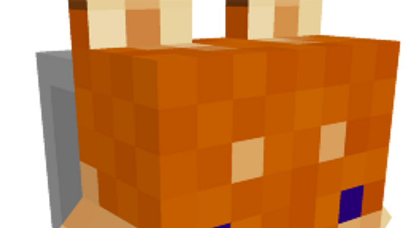 Fox Face by Syclone Studios - Minecraft Marketplace (via ...