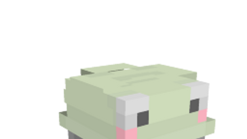 Blinking Frog Hat by Tomhmagic Creations - Minecraft Marketplace (via ...