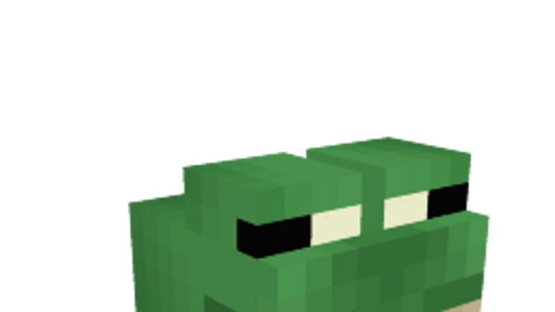 Frog Head by MobBlocks - Minecraft Marketplace (via bedrockexplorer.com)