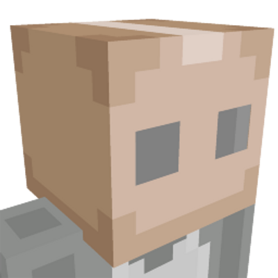 Cardboard Box Head by Lifeboat - Minecraft Marketplace (via ...