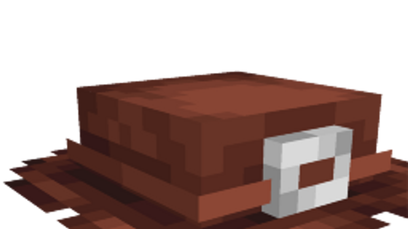 Fishing Hat by Yeggs - Minecraft Marketplace (via bedrockexplorer.com)