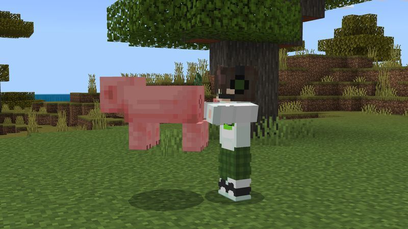 Products by Cubical - Minecraft Bedrock Marketplace Explorer