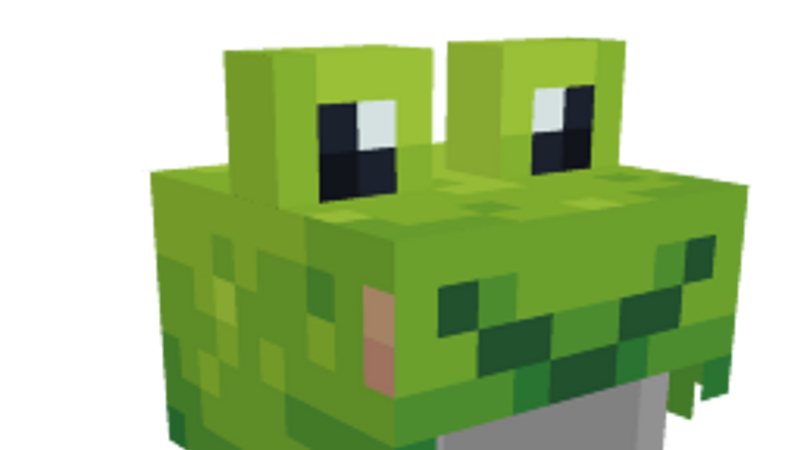 Frog hat by Square Dreams - Minecraft Bedrock Marketplace Explorer