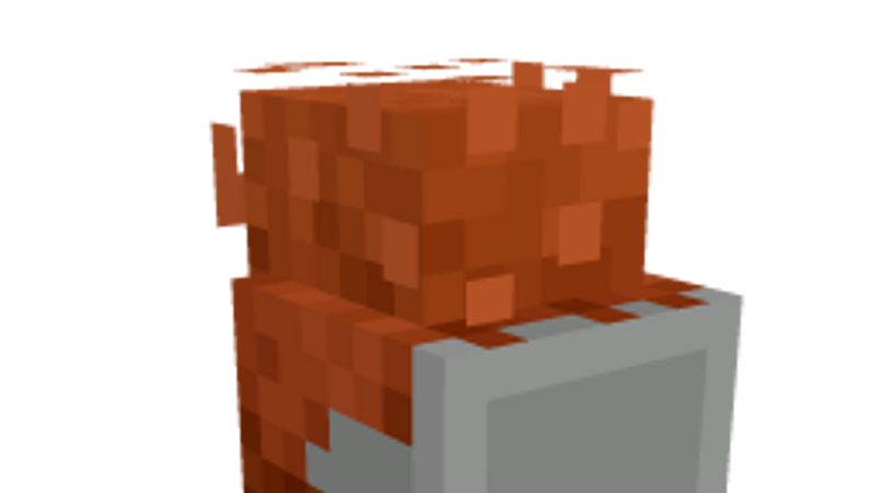 Coiled Bun by Minecraft - Minecraft Marketplace (via bedrockexplorer.com)