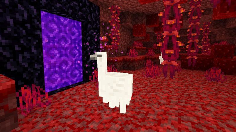 Mob Menagerie Add-On by StacyPlays - Minecraft Bedrock Marketplace Explorer