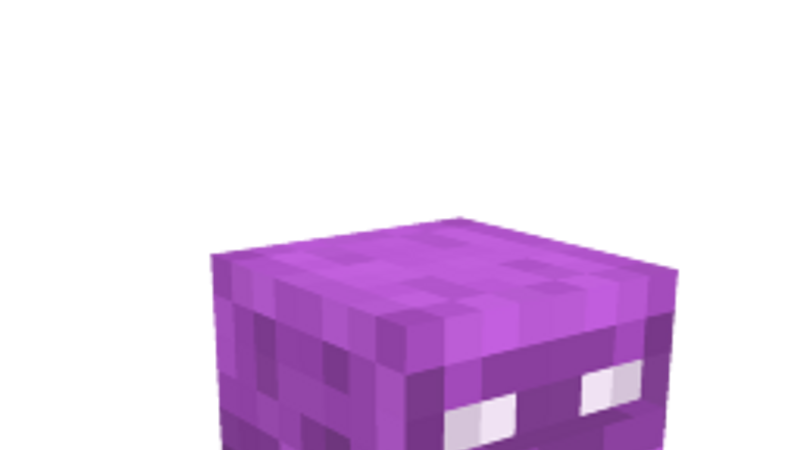 Squid Face by Cleverlike - Minecraft Marketplace (via bedrockexplorer.com)