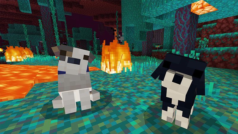 Rescue Dogs - MUTTS! Add-On by StacyPlays - Minecraft Bedrock ...