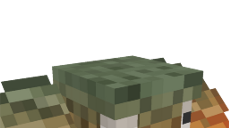 Frilled Lizard Head by Cleverlike - Minecraft Marketplace (via ...