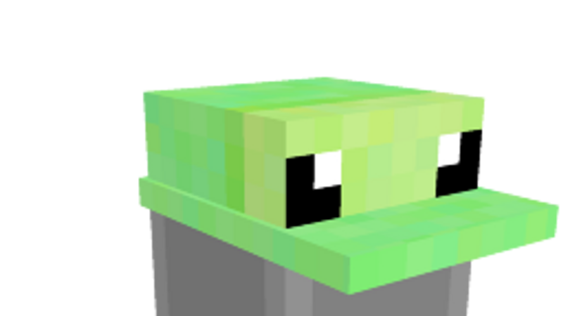 Frog Hat by Lebleb - Minecraft Marketplace (via bedrockexplorer.com)