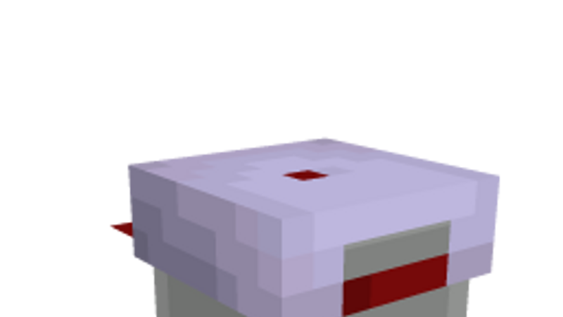 Minecraft Backwards Hat Skin