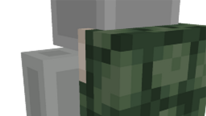 Turtle shell by HorizonBlocks - Minecraft Marketplace (via ...