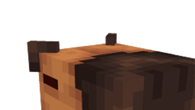 Capybara Head by Meraki - Minecraft Marketplace (via bedrockexplorer.com)