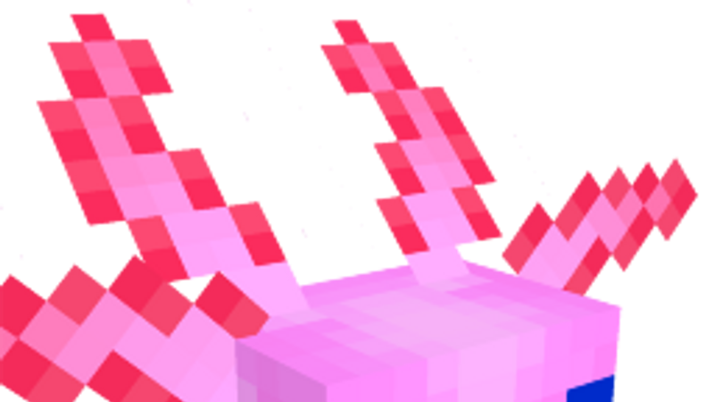 Pink Axolotl Head by Dots Aglow - Minecraft Marketplace (via ...