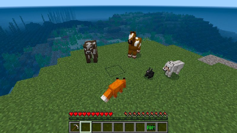 Minecraft Add-Ons [401] - Minecraft Bedrock Marketplace Explorer