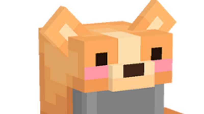 Corgi Onesie by 57Digital - Minecraft Marketplace (via bedrockexplorer.com)