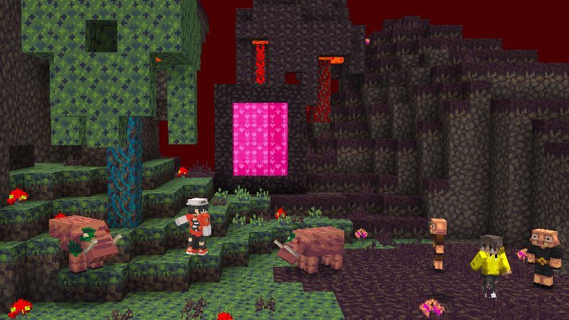 Minecraft Texture Packs [344] - Minecraft Bedrock Marketplace Explorer