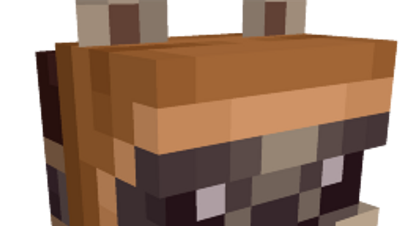Ewok Mask by Minecraft - Minecraft Bedrock Marketplace Explorer
