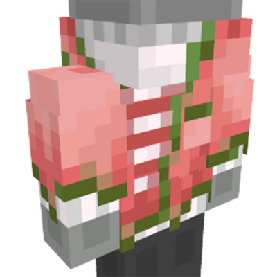 Founders Cape by Minecraft (Minecraft Skin Pack) - Minecraft ...