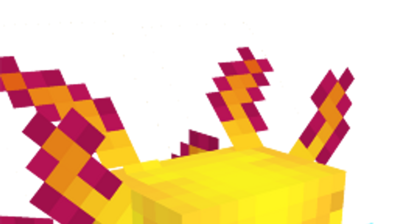 Gold Axolotl Head by Syclone Studios - Minecraft Bedrock Marketplace ...