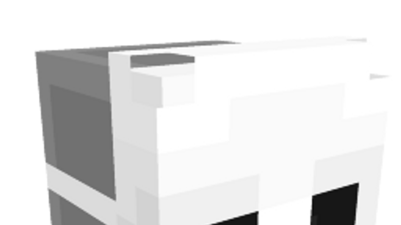 Skull Mask by DigiPort - Minecraft Marketplace (via bedrockexplorer.com)