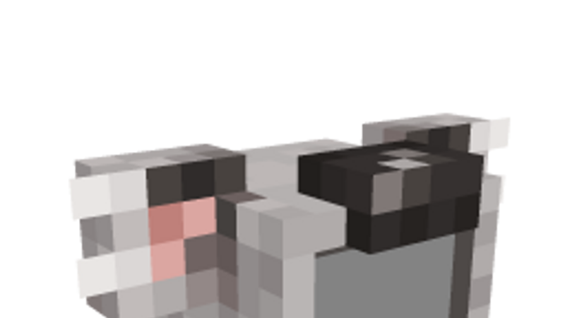 Koala Hood by Minecraft - Minecraft Marketplace (via bedrockexplorer.com)