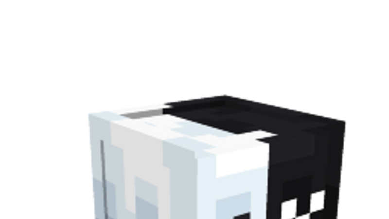 Black White Head by Cubical - Minecraft Marketplace (via ...