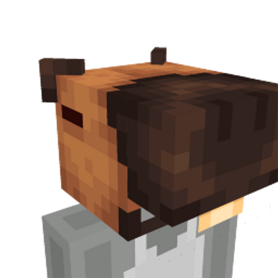 Capybara Head by Meraki - Minecraft Marketplace (via bedrockexplorer.com)