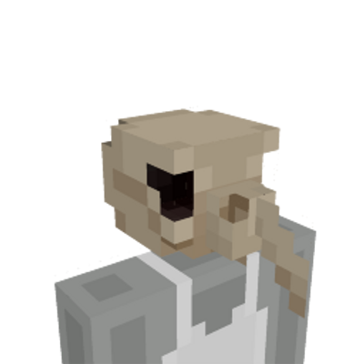 Bird Mask by CubeCraft Games - Minecraft Marketplace (via ...