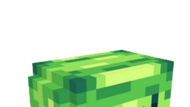 Melon Head by Sapix - Minecraft Marketplace (via bedrockexplorer.com)