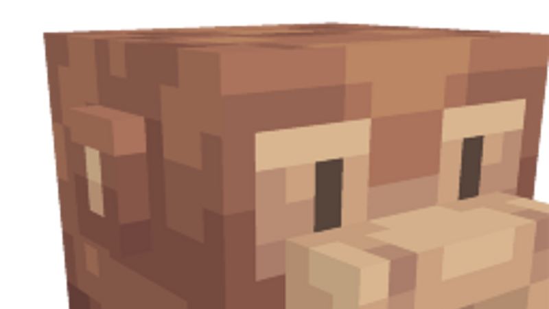 Monkey Head by Norvale - Minecraft Marketplace (via bedrockexplorer.com)