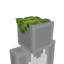 Dripleaf by Minecraft - Minecraft Marketplace (via bedrockexplorer.com)