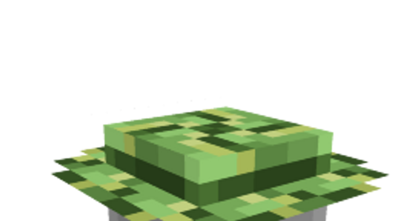 Palm Leaf Hat by CrackedCubes - Minecraft Bedrock Marketplace Explorer