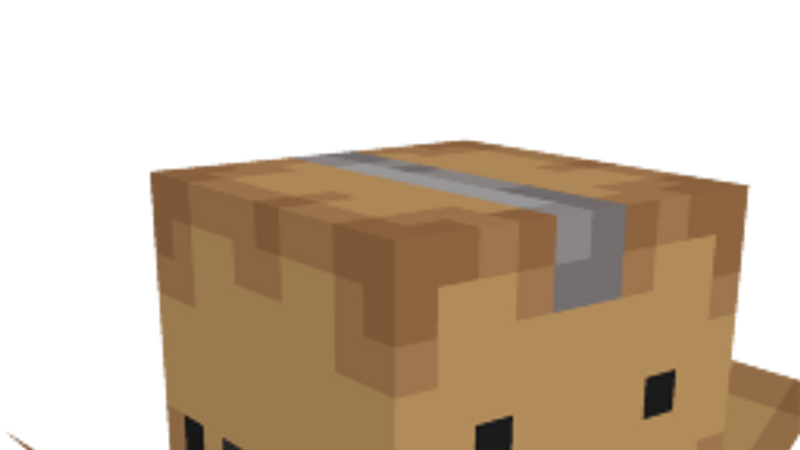 Cardboard Box Hat by Noxcrew - Minecraft Bedrock Marketplace Explorer